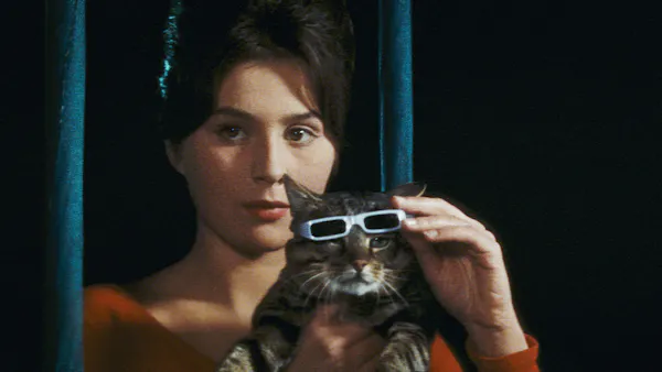 Strange Creatures & The Cassandra Cat | Cineville
