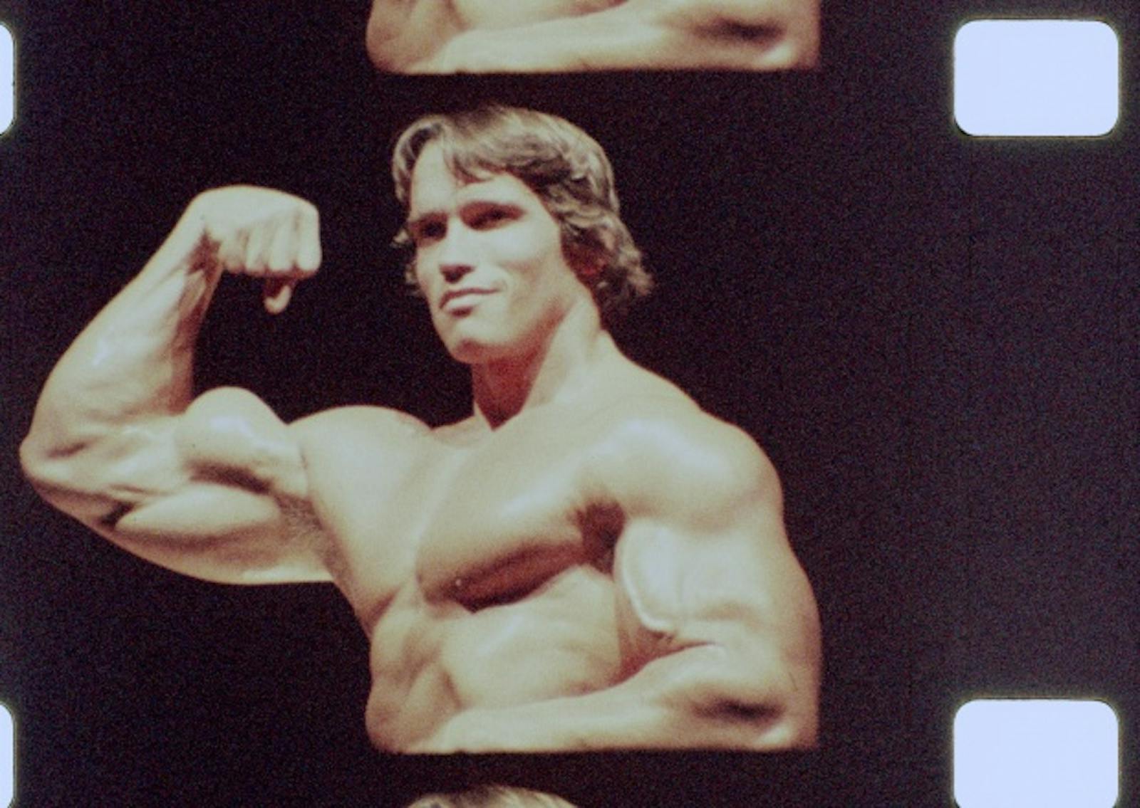 Meet the Archive: The Art of Bodybuilding - Arnold Schwarzenegger ...
